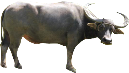 The Official Portal for the Island of Guam – The Official Portal for ...